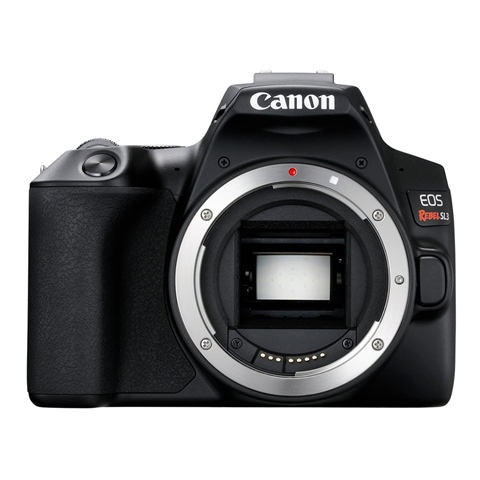 Canon EOS Rebel SL3 (Cuerpo), A - CeX (MX): - Comprar, Vender, Donar